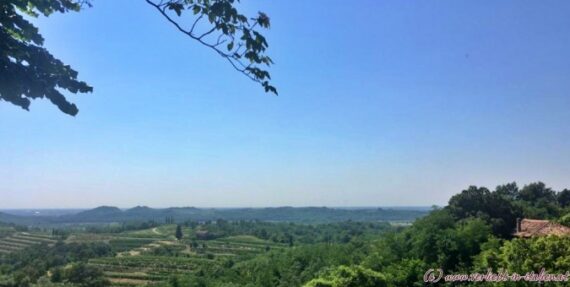 Cormòns - mitten in den Weinbergen des Collio - Verliebt in Italien